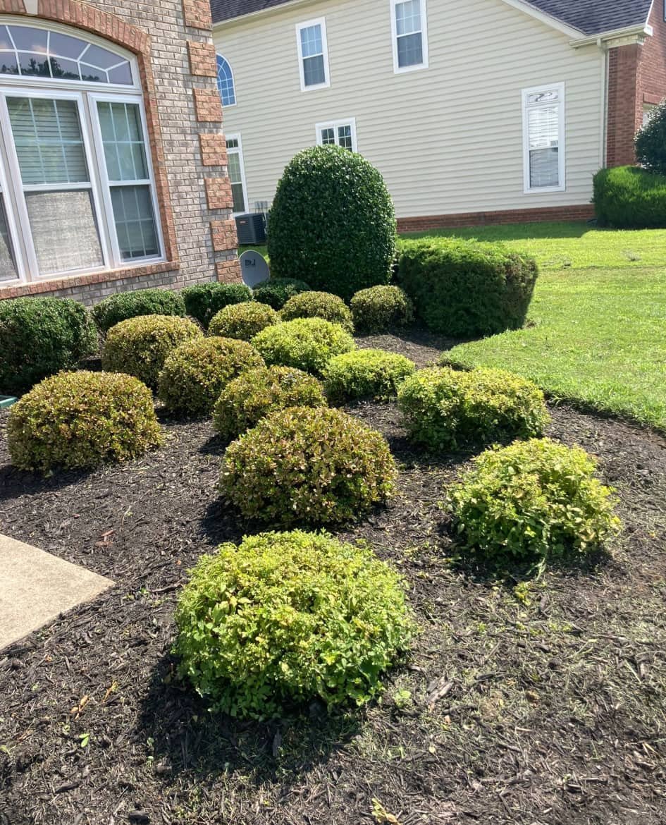 Services - David Landscaping Services Llc