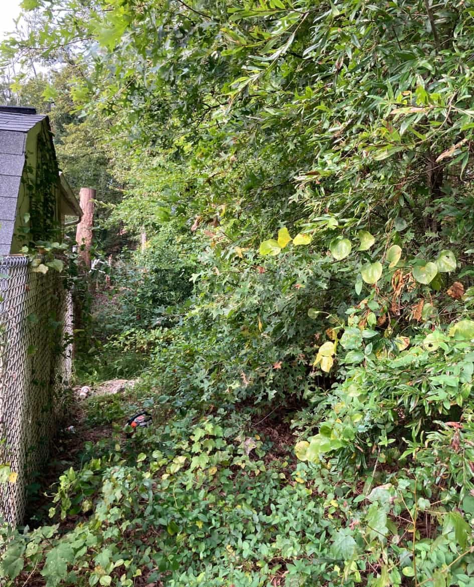 Yard Work - David Landscaping Services Llc